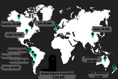The Best Alpaca Farms in Canada: Facts, Fibre, Life in Community